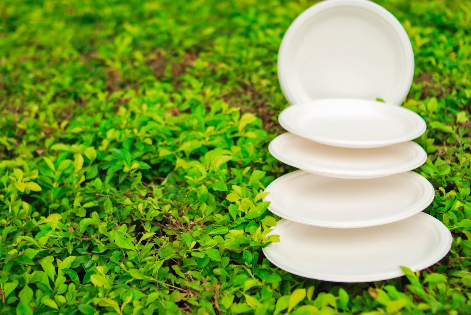 Productos Desechables Biodegradabes / Compostables Ecuador 🌎